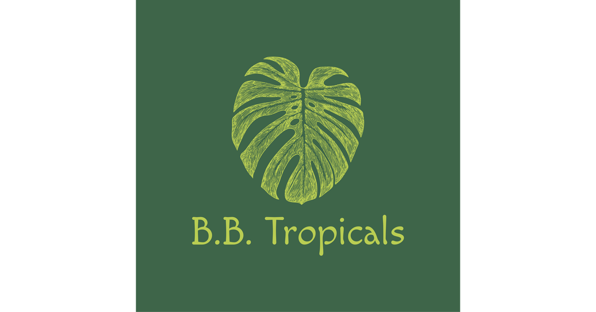 BB Tropicals – B.B. Tropicals